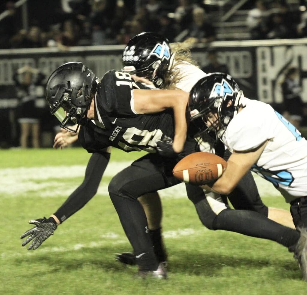 River Valley Panthers – PA Football News